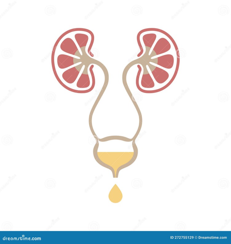 Praxis für Urologie Thomas Henkel - Anne- Kathrin Hesse